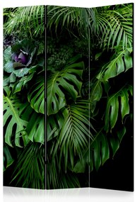 Paraván - Rainforest [Room Dividers]