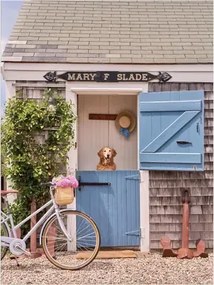 GALISON Puzzle Gray Malin: Nantucket / 1000 dílků / 45,7 x 61 cm