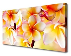 Obraz na plátně - Plumeria 125 x 50 cm