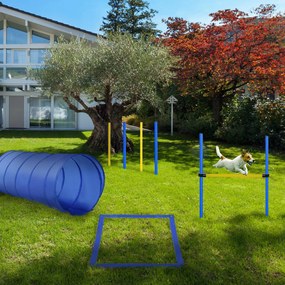 Výcvikový set PawHut pro agility psů s tunelem, slalomovými tyčemi, překážkami a startovním polem pro aktivní výcvik psů Modrá