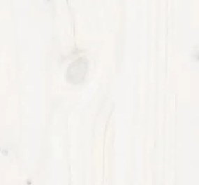 vidaXL Zahradní truhlík šedý 62 x 30 x 38 cm masivní borové dřevo [825178] Barva: Šedá borovice