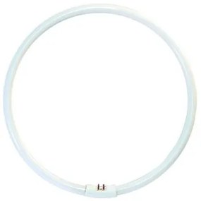 FULGUR YH 40W/4000K úsporná kruhová zářivka, studená bílá