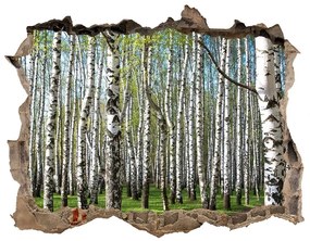 Wallmuralia Nálepka fototapeta 3D výhled Břízový les 95x64 cm