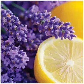 Yankee Candle Lemon Lavender Signature Malý