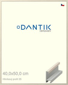DANTIK rámeček 40x50 | ALU profil 6035 Dýha slonová kost (Sklo Čiré)