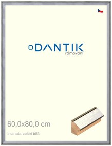 DANTIK rámeček 60x80 | INCLINATA colori Bílá (Plexi Čiré)