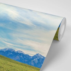 Samolepící fototapeta panorama hor