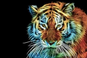 Tapeta hlava tygra v abstraktním provedení - 450x300 cm