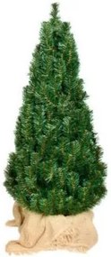 Foxigy Vánoční stromek 100cm v jutovém obalu