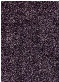 Kusový koberec Enjoy Shaggy 4500 lila - 140 x 200 cm