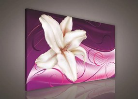 Obraz na plátně lilie na růžovém podkladu 100 x 75 cm