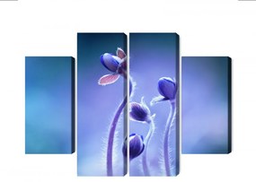 Vícedílný obraz Jemné Květiny V Makro Měřítku Nedostatek Nedostatek Přírodní plátno 160x120
