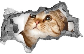 Wallmuralia Díra 3D fototapeta na stěnu nálepka Kočka 95x73 cm