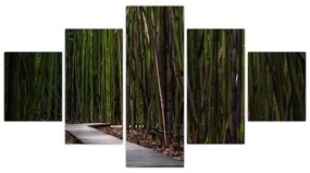 Obraz - Mezi bambusy (125x70 cm)