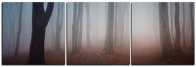 Obraz na plátně - Mlha v lese - panoráma 5182B (150x50 cm)