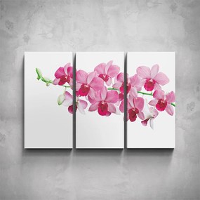 3-dílný obraz - Růžová orchidej - PopyDesign