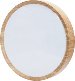 BRILAGI - LED Stropní svítidlo NATURA LED/20W/230V 4000K pr. 33,7 cm