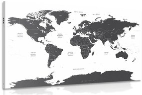 Obraz mapa světa s jednotlivými státy v šedé barvě - 120x80 cm