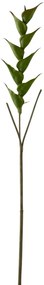 Zelená květina Heliconia - 141cm