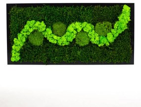 Mechový obraz | 49x22 cm | Zelený háječek - černý rám