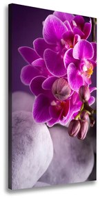 Wallmuralia Vertikální Foto obraz na plátně Růžová orchidej 50x100