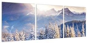 Zimní obraz lesní horské krajiny (90x30 cm)