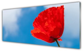 akrylový obraz Tulipán 125x50 cm