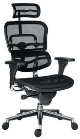 No brand  Kancelářská židle Ergohuman