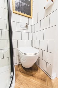 Laveo Desna, závěsná WC mísa Rimless 485x370x320 mm + toaletní sedátko, bílá lesklá, LAV-VMD_600S