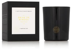 Vonná svíčka L'Artisan Parfumeur Brise De Mimosa 70 g