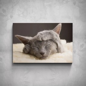 Obraz - Spící kočka - PopyDesign