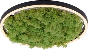 GREEN RITUS LED stropní svítidlo, 630 lm, 20 W