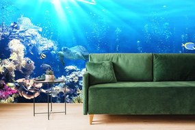 Samolepící tapeta tropické rybky - 225x150 cm