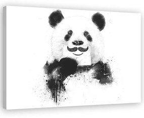 Gario Obraz na plátně Černobílá panda - Rykker Rozměry: 60 x 40 cm