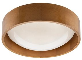 Brilagi | Brilagi - LED Stropní svítidlo MANAROLA LED/11W/230V | BG0012