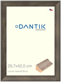 DANTIK rámeček 29,7x42 | Lauren šedostříbrná (Plexi Čiré)