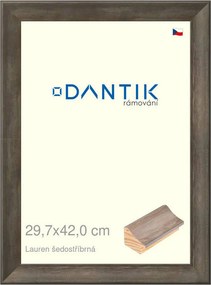DANTIK rámeček 29,7x42 | Lauren šedostříbrná (Plexi Čiré)