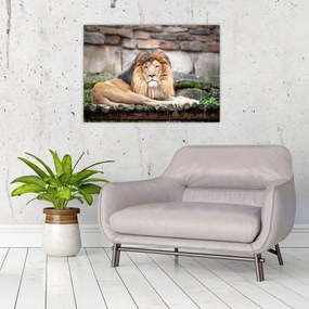 Skleněný obraz lva (70x50 cm)