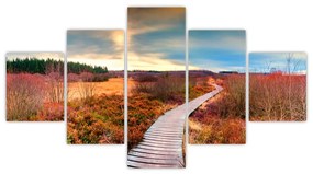 Obraz - Podzimní cesta krajinou (125x70 cm)