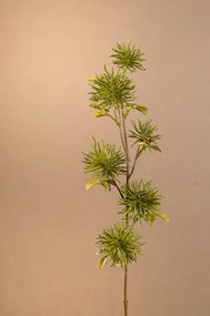 Paramit DRY MINI XANTHIUM Aranžovací květina zelená 53 cm
