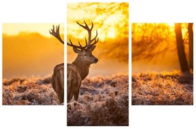 Obraz jelena (90x60 cm)