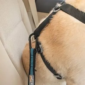Kurgo Direct to Seatbelt Tether - modrá / Bezpečnostní autopás pro psa