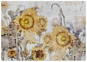 Obraz - Slunečnice ve zdi (70x50 cm)