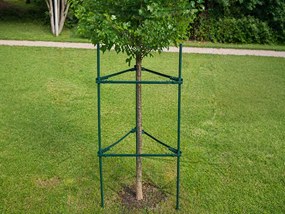 Trojúhelníková opěrná tyč pro rostliny, 120 cm, stabilní, do zahrady a na zahrádku, DIVODV