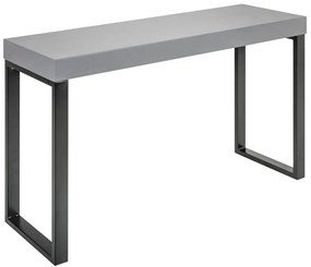 OnaDnes -20% Moebel Living Šedý lakovaný pracovní stůl s černou podnoží Raimond 120 x 40 cm