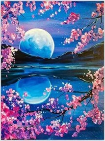 NORIMPEX Malování podle čísel Východ měsíce / 40x50 cm