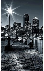 Dvoudílná vliesová fototapeta Boston, rozměr 150x250cm, MS-2-0016