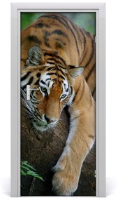 Samolepící fototapeta na dveře tygr na stromě 75x205 cm