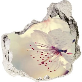 Wallmuralia Samolepící nálepka na zeď Květ višně 75x75 cm