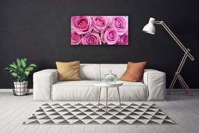 Obraz na plátně Růže Květiny Rostlina 100x50 cm